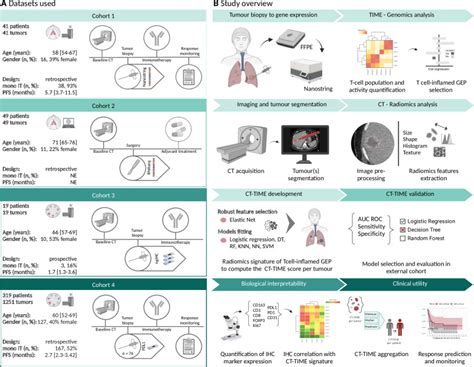 Radiomics Signature For Dynamic Monitoring Of Tumor Inflamed