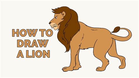 How To Draw A Lioness Step By Step Drawing Tutorials