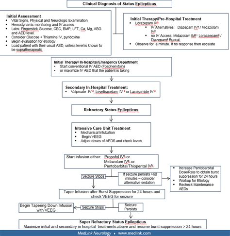Generalized Tonic Clonic Status Epilepticus Medlink Neurology
