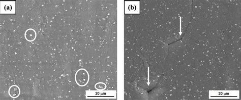 Higher Magnification Sem Micrographs Of The Top Views Xy Printing