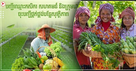 ងាយជាងមុន ក្រសួងកសិកម្ម បង្កើតមុខងារថ្មី ២ ជួយរកទីផ្សារឱ្យកសិករ និងលក់កសិផលខ្មែរ