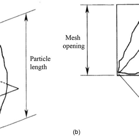 illustrations of a particle length and b particle width larger than