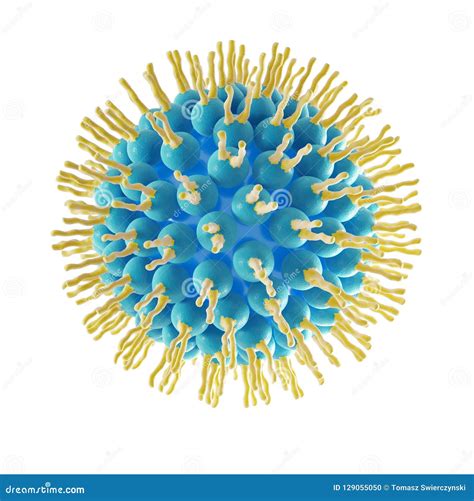 Structure Of Liposome Vector Illustration 232754374