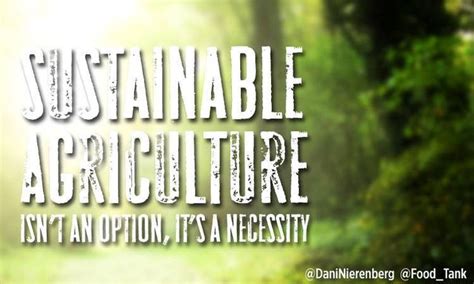 Sustainable Agriculture Isnt An Option Its A Necessity