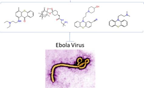 predictive models for ebola using machine learning in python