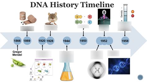 Chapter Diagram Quizlet