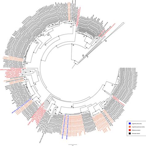 Phylogenetic Tree By Maximum Likelihood Based On Partial Rdrp Gene