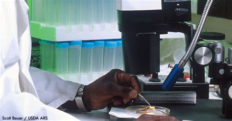 How Does A Microscope Work Explain That Stuff