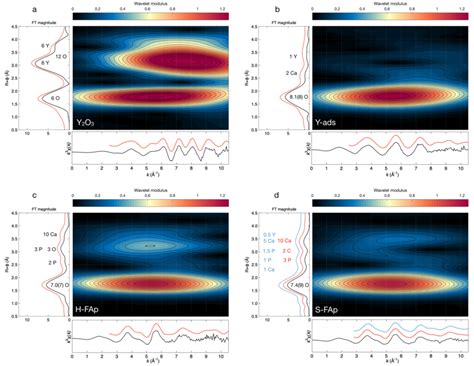 Wavelet Transform Analysis Of EXAFS Spectra With Corresponding