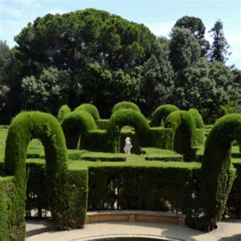 Sofia Barrera University Of Barcelona Barcelona Ub Department Of Developmental And