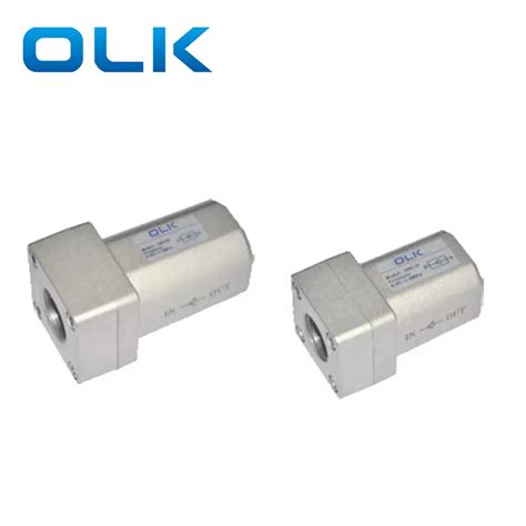 China Nrv Check Valve Supplier Manufacturer Factory Direct Price Olk