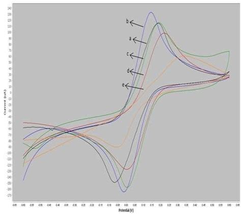 Cyclic Voltammogram Of Electrochemical Characterization Of The Modified Download Scientific