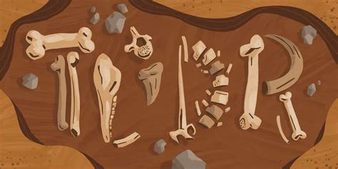 Quantitative Concept Testing How We Bring Users Into Product By