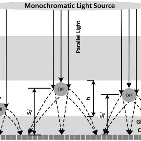 Conceptual Structure Of A Typical Lensless Imaging System Based On