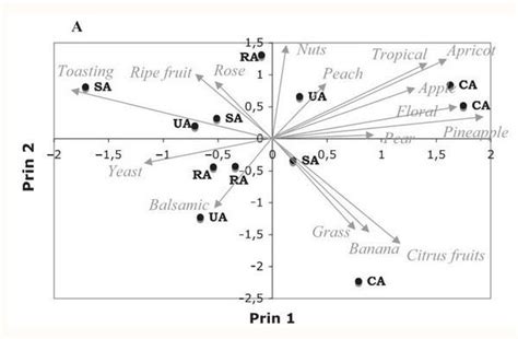 核主成分分析 全球百科