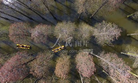 江苏扬州水上森林画中游 人民图片网