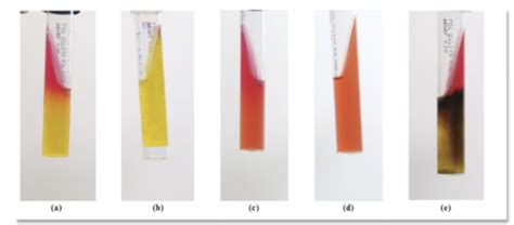 Micro Lab Flashcards Quizlet