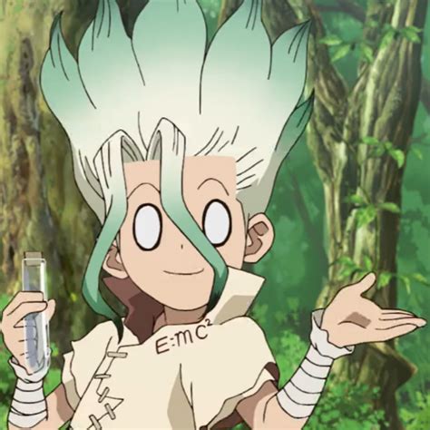 Silly Senku Arte Delle Anime Arte Dottorato
