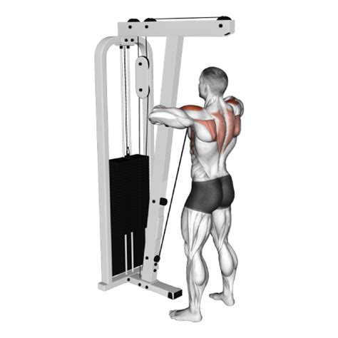 Cable Single Arm Lateral Raise Guide Muscles Worked Tips Athlemove