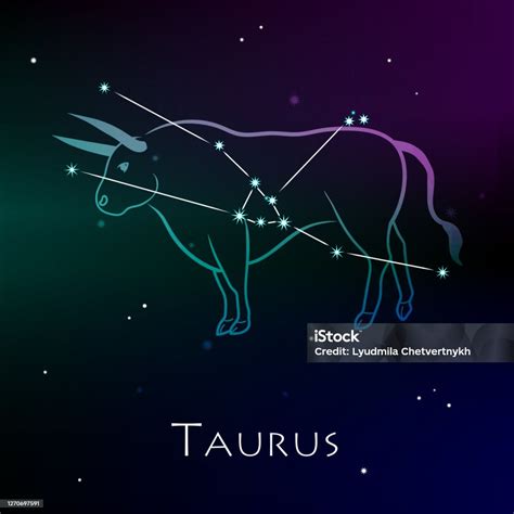 황소 자리 조디악 기호와 어두운 별이 빛나는 하늘에 대한 별자리 검은색 배경의 벡터 그림 0명에 대한 스톡 벡터 아트 및 기타 이미지 0명 5월 검은색 Istock