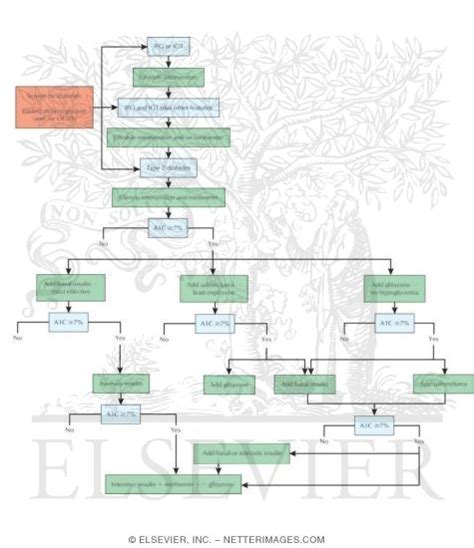 Algorithm For Care Of People With Prediabetes And Diabetes