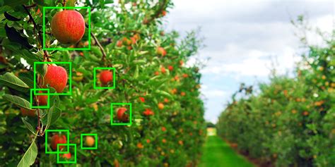 Croptracker Computer Vision In Agtech