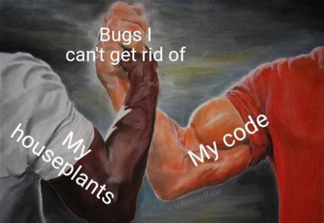 I Cant Debug So I Made A Meme 👩‍💻🌱 Rprogrammerhumor
