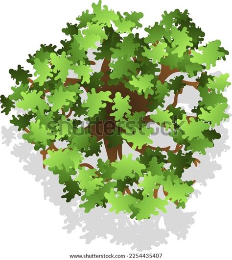 architecture design plan element green tree stock vector royalty free