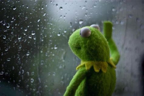 Sad Kermit Memes Imgflip