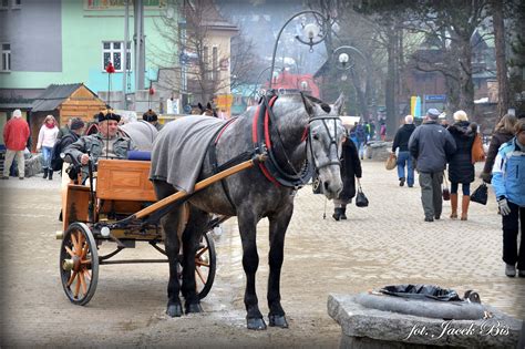 foto: Dorożki