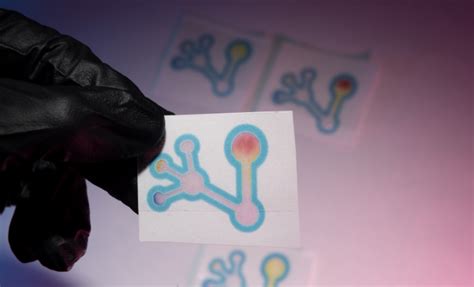 Biochemistry And Molecular Biology Major To Career Roadmap Career Center