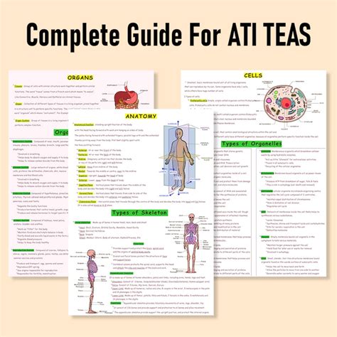 The Complete ATI TEAS 7 Study Guide Etsy