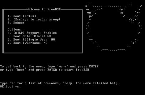 Freebsd загрузка в Single User Mode