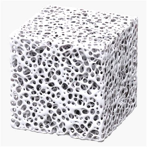Bone Sponge Structure Bundle 3d Model