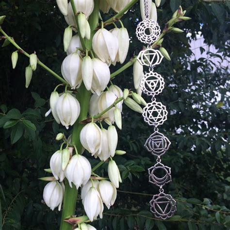 Crystal Compass Design