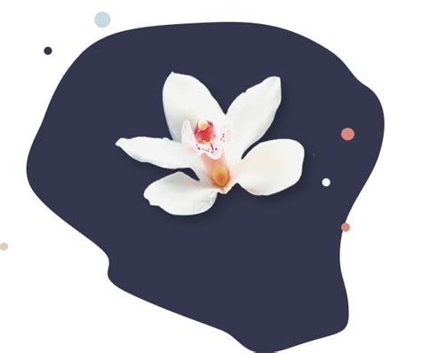 Orchid Couple Report