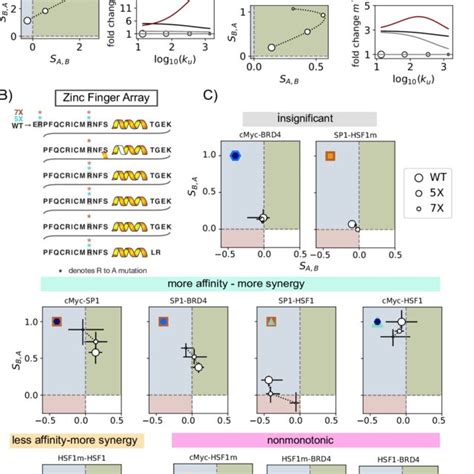 Synergy Between A Pair Of Tfs Depends Upon Binding Affinity Continued