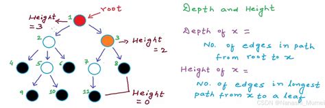 学习笔记：二叉树binary Tree By Mycodeschool 二叉树学习 Csdn博客