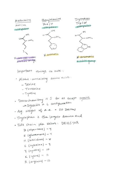 Mcat Amino Acids Quiz And What Amino Acids Do You Need To Know For Mcat
