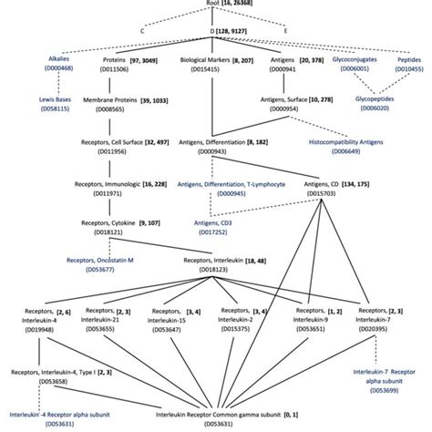 An Excerpt From The Mesh Taxonomy The Information Between Brackets