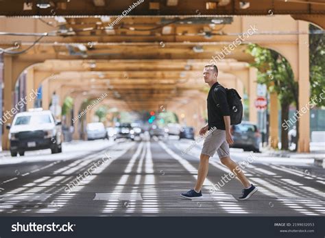 最佳 Elevated Pedestrian Crossing 免版税图片、库存照片和图像 Shutterstock