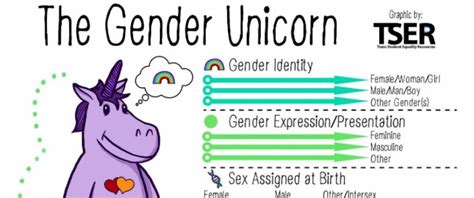 Mid Term Elections My Opinion A H Trimble Emergency Preparedness Information For