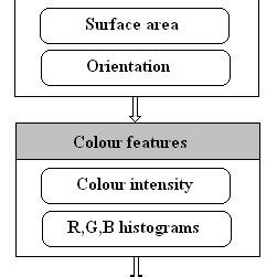 Flow Chart Of Feature Extraction Download Scientific Diagram