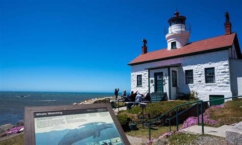Official Visitor Guide To Crescent City California Visit Del Norte