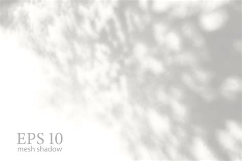 투명 천연 식물 그림자 조명 효과 오버레이 메쉬 그리드 나뭇가지의 그림자 식물 단풍과 지상에 나뭇잎 프레젠테이션 디자인 카드