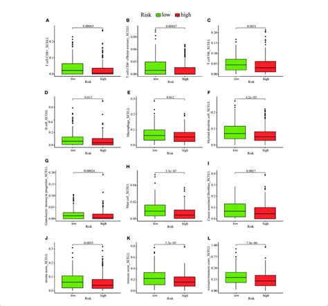 Estimation Of Tumor Infiltrating Cells By The Prognostic Model Download Scientific Diagram