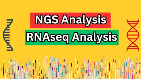 Ngs Analysis And Rnaseq Analysis By Five Theta Fiverr