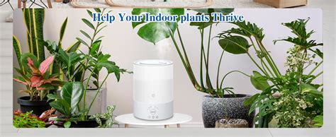 Esemoil Humidifiers For Bedroom For Large Room 25l Top