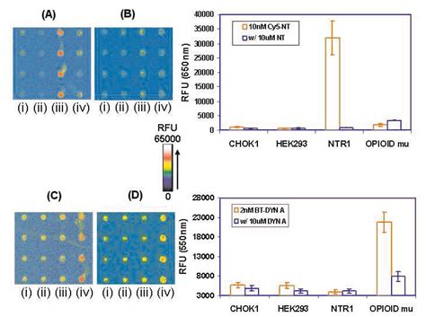 2 Fluorescence Images In False Color Of Microarrays Consisting Of