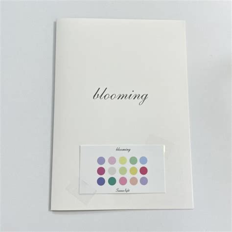 부산 퍼스널컬러 진단 서면 블루밍 퍼스널컬러 내돈내산 후기 네이버 블로그